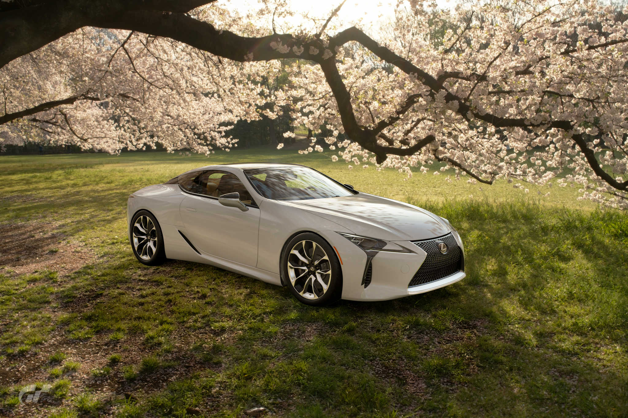 New Lexus Cars | Belfast NI | Charles Hurst