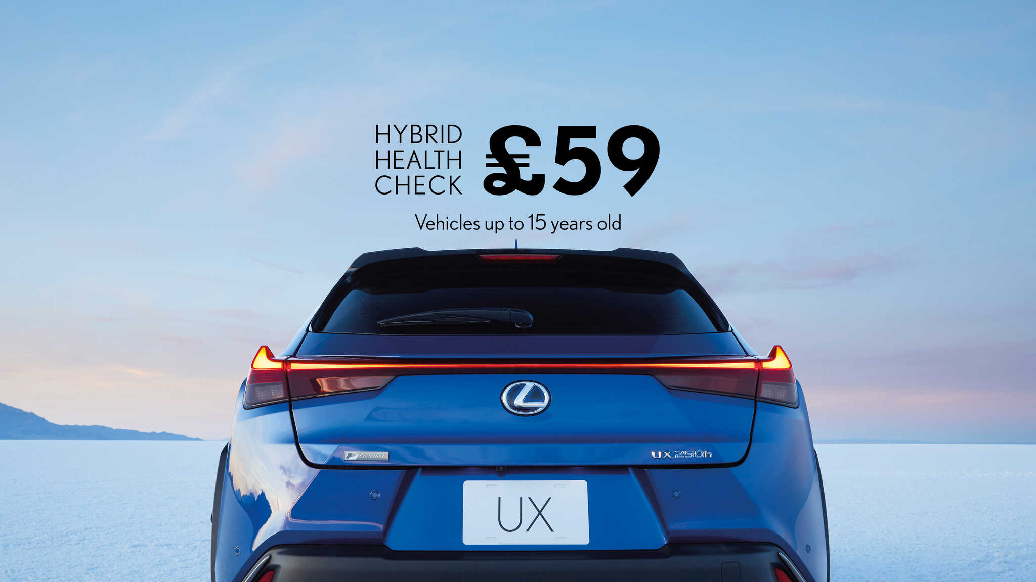 Lexus Hybrid Health Check - available at Charles Hurst Lexus. Contact ...