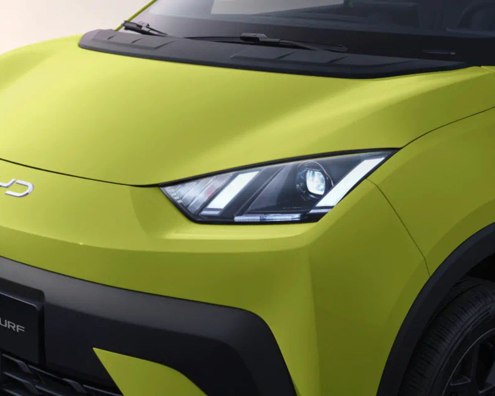 Dolphin Surf | BYD | Charles Hurst